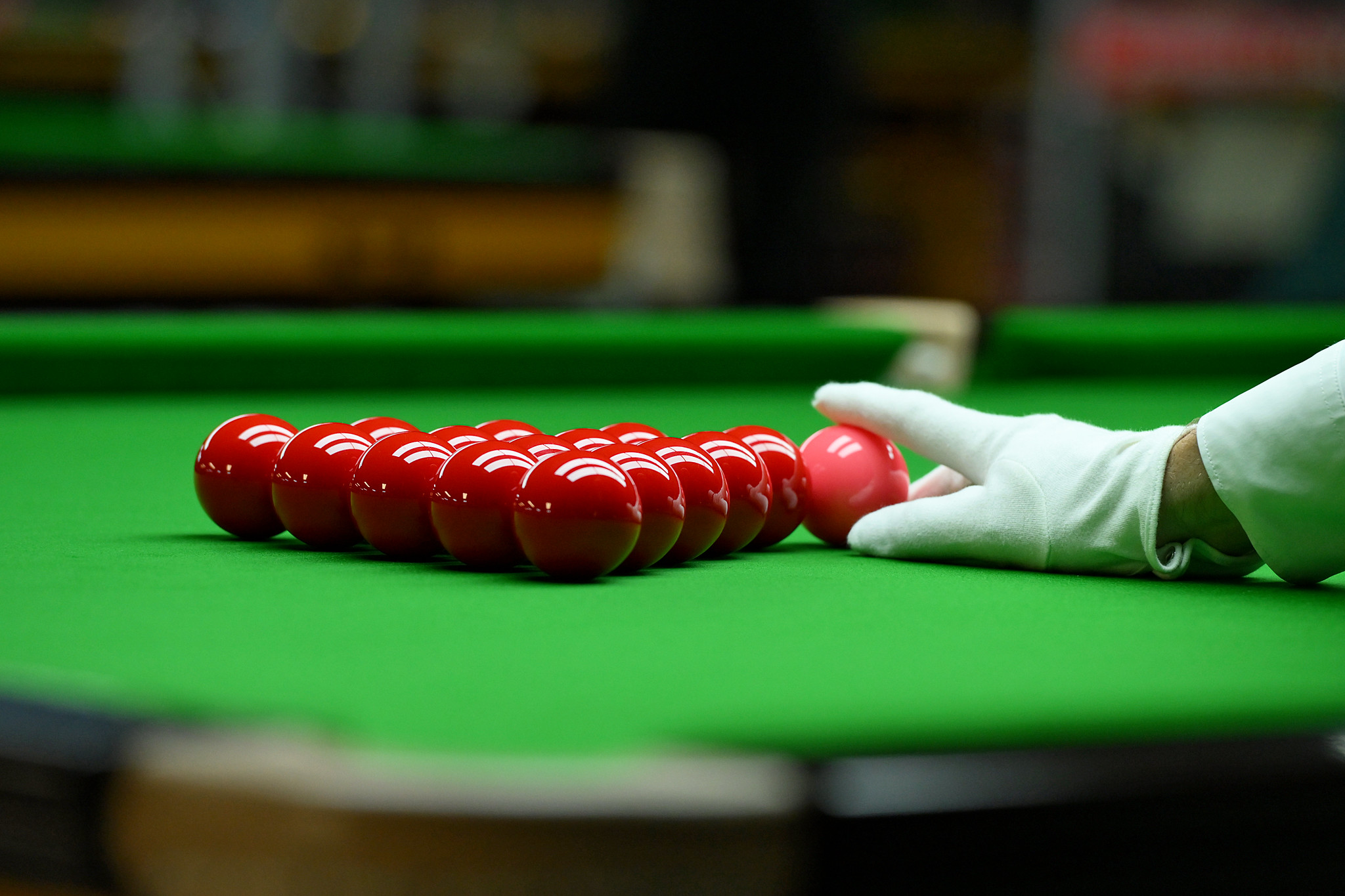 Bulgaria To Host 2026 WSF Championships - WSF